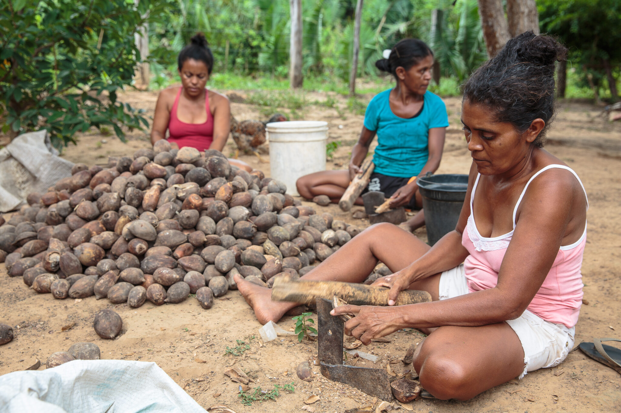 Do coco babaçu à emancipação: o poder das quebradeiras do Maranhão ...
